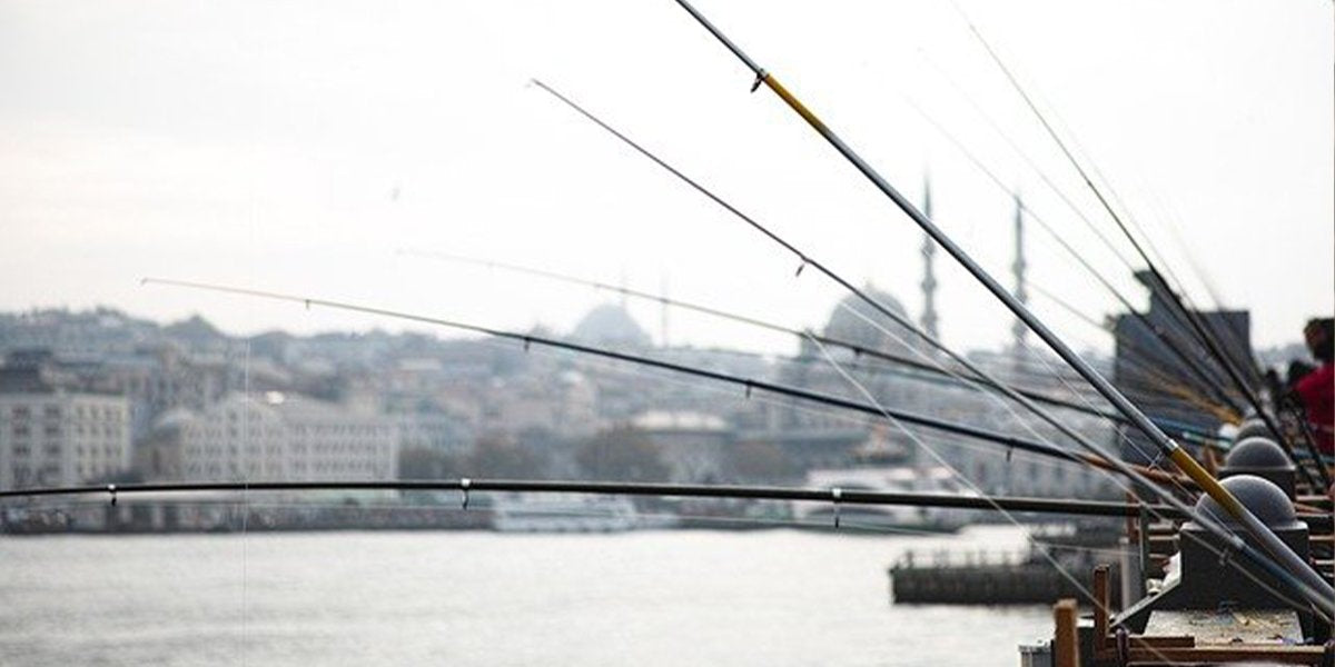 How To Choose a Fishing Rod, According to Science – Wind Rose North Ltd ...